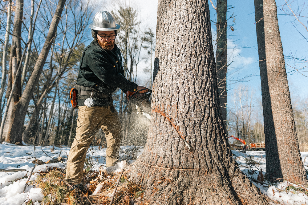 Reviews | Read Customer Feedback Today