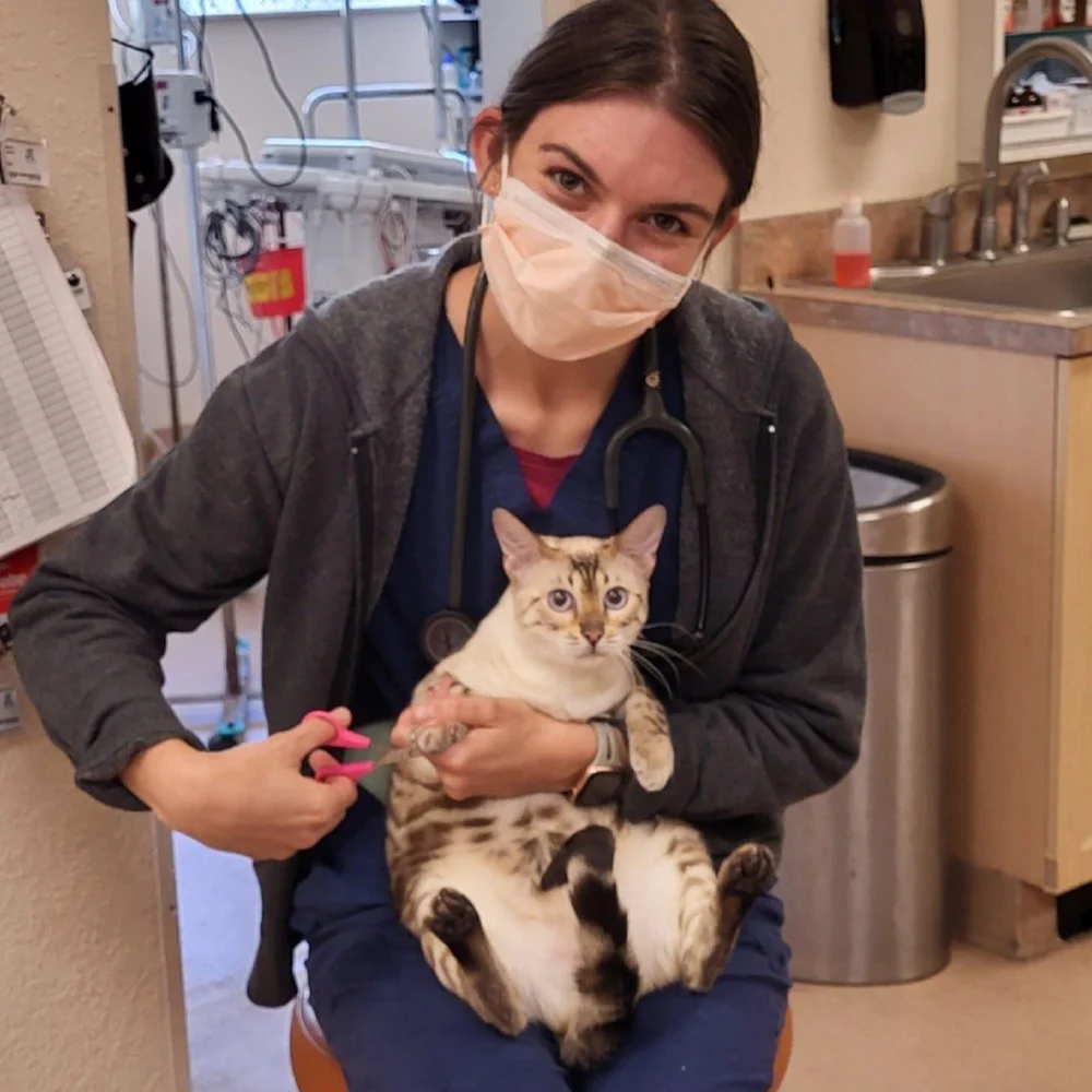 West Coast Veterinary Center - Holistic and Integrative Medicine for ...