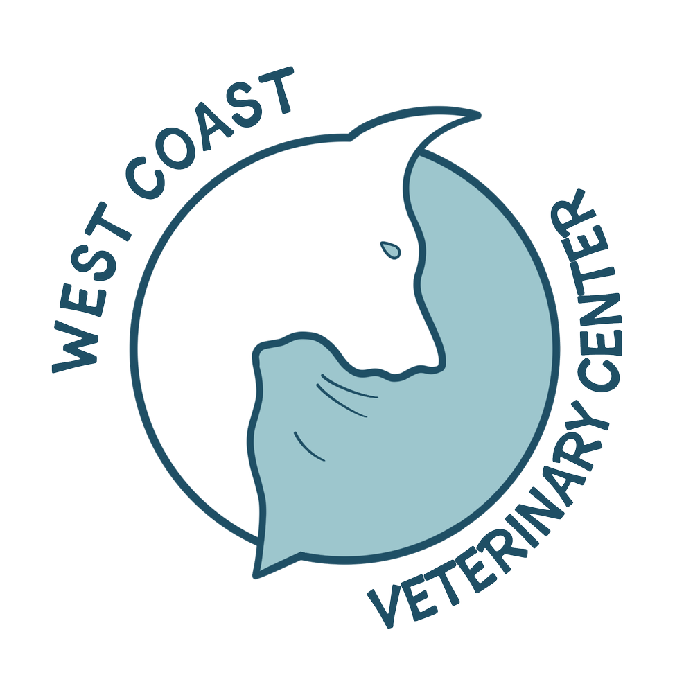 West Coast Veterinary Center | Holistic Veterinary Care in Sarasota, FL