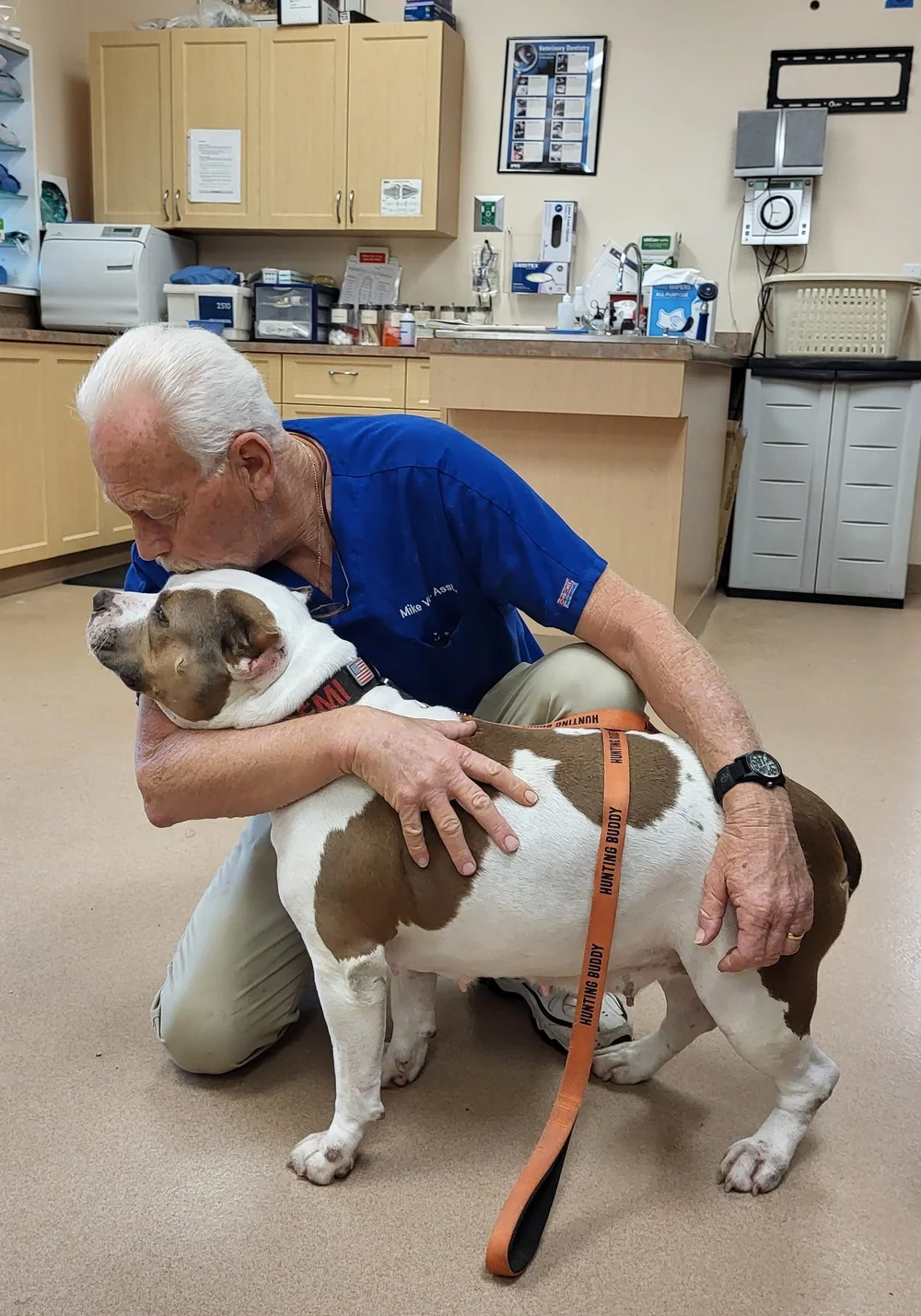 West Coast Veterinary Center - Holistic and Integrative Medicine for ...