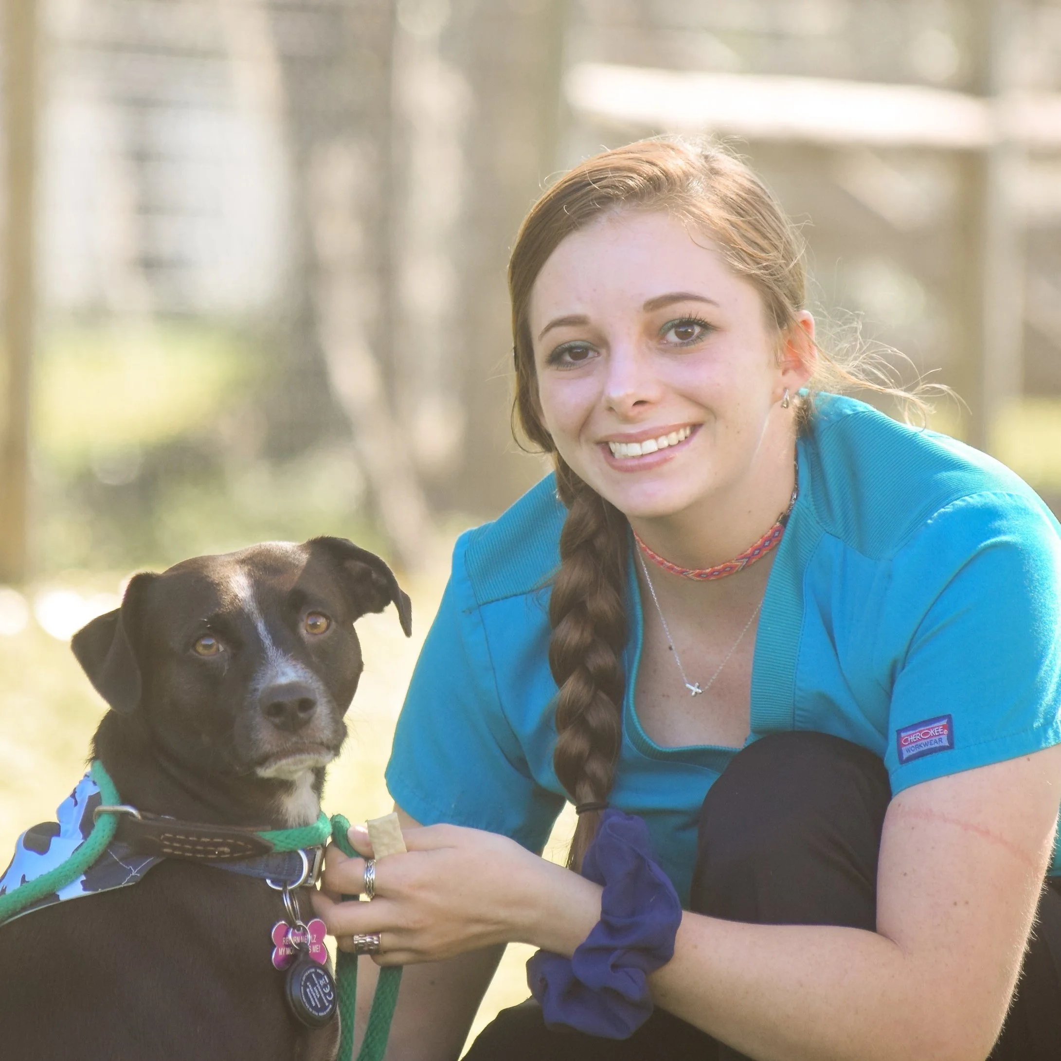 Meet the Team at WCVC — West Coast Veterinary Center