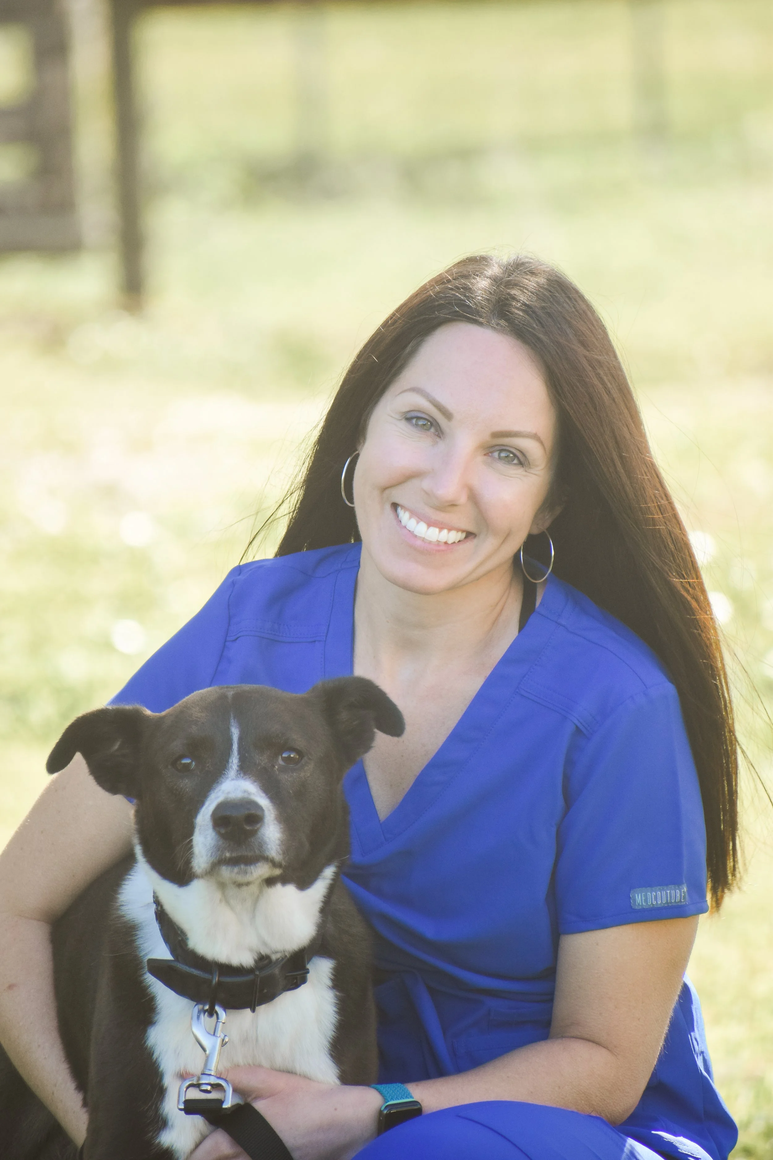 About the Team at West Coast Veterinary Center | Compassionate Holistic ...