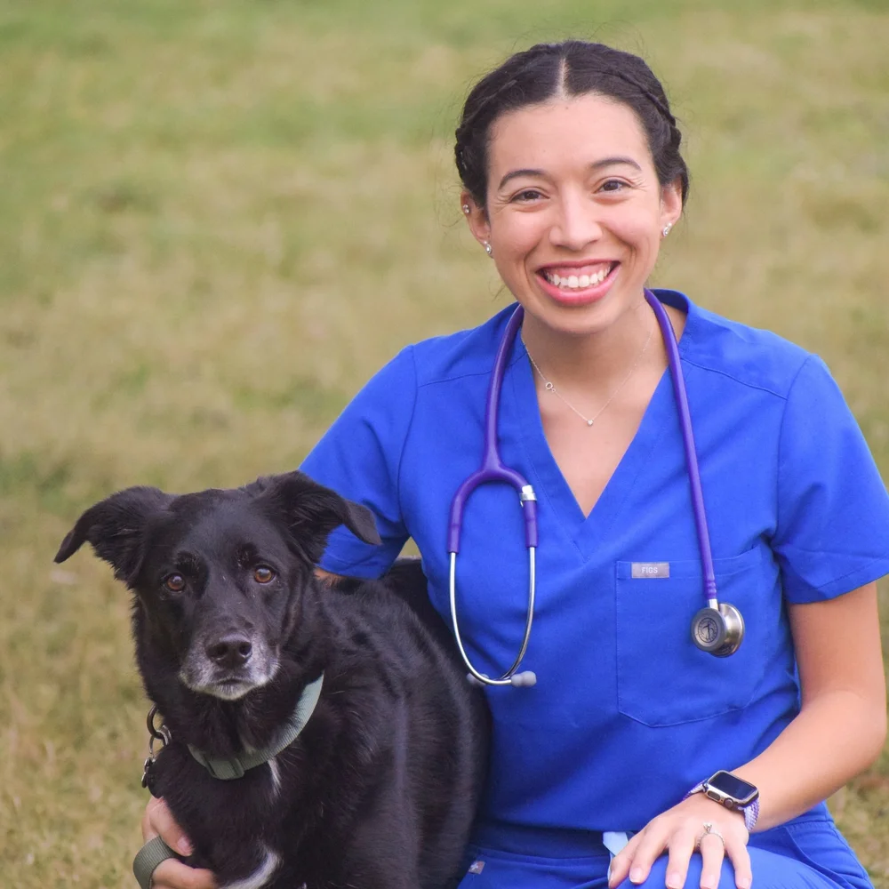 Meet the Team at WCVC — West Coast Veterinary Center