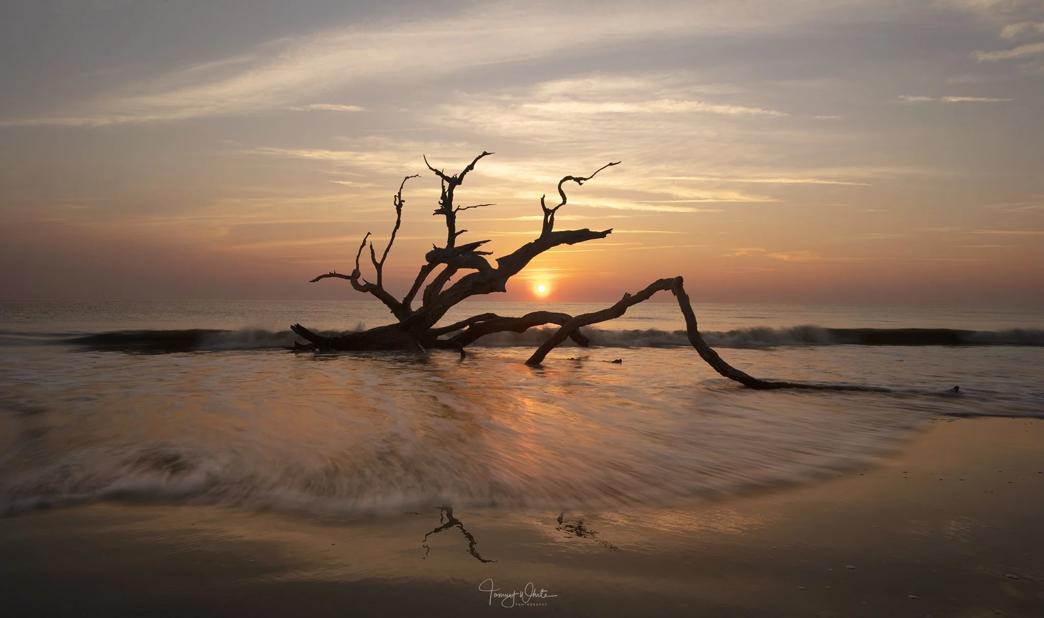 Tommy White Photography