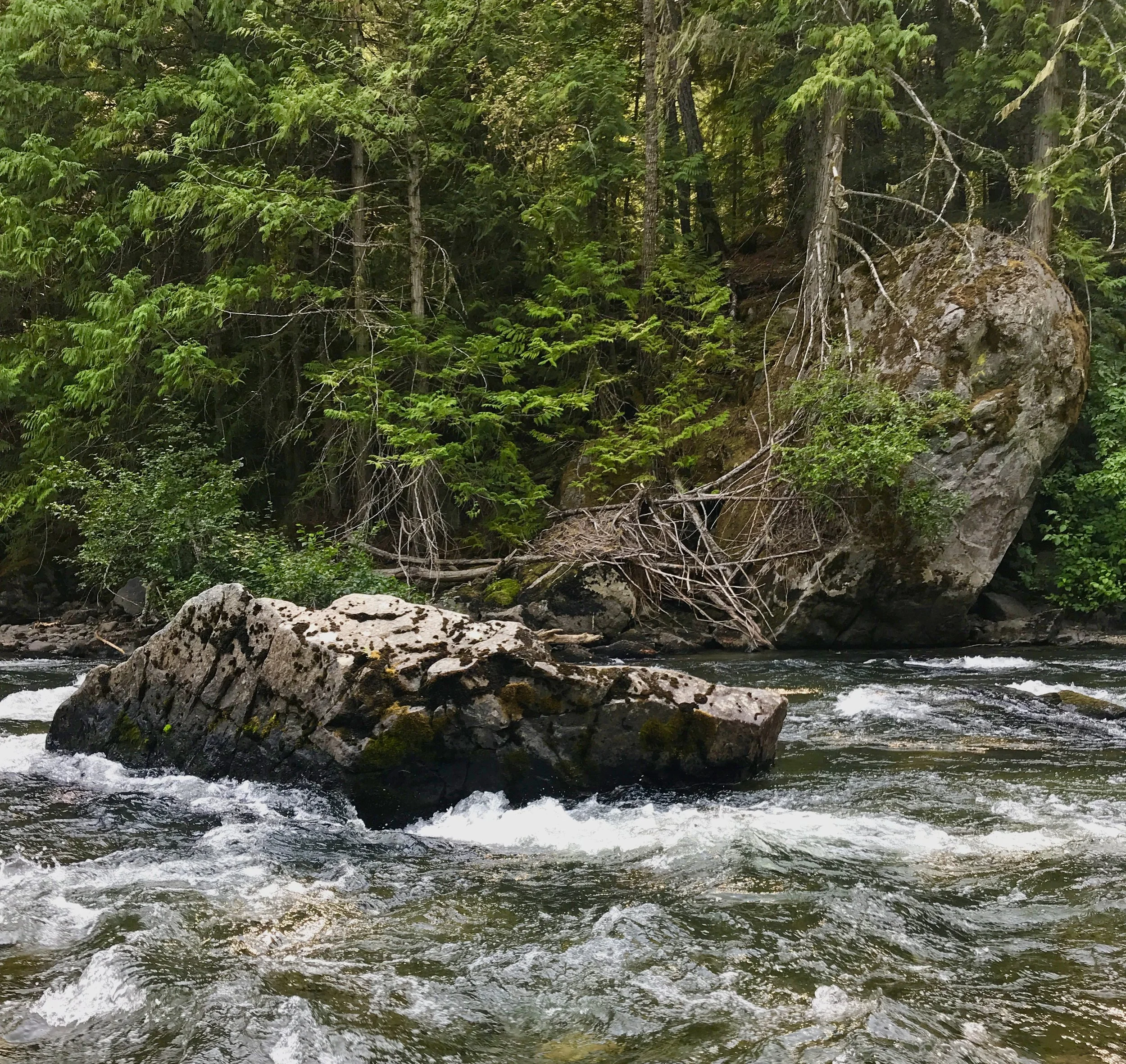 Carbon Storage Solutions