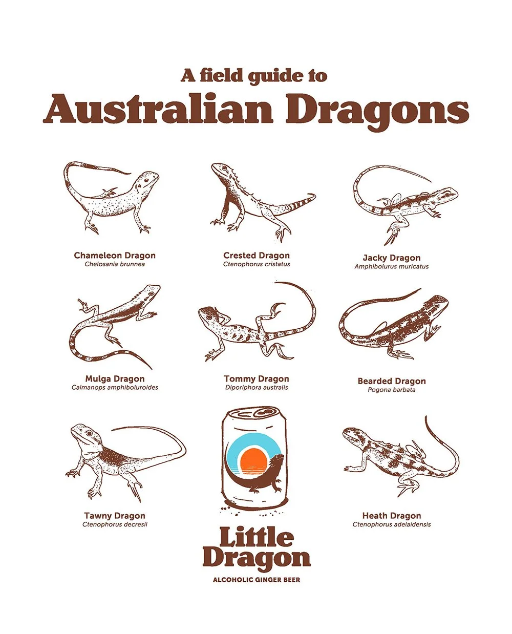 5 Classic Aussie Dragons You Need to Know — Monster Children