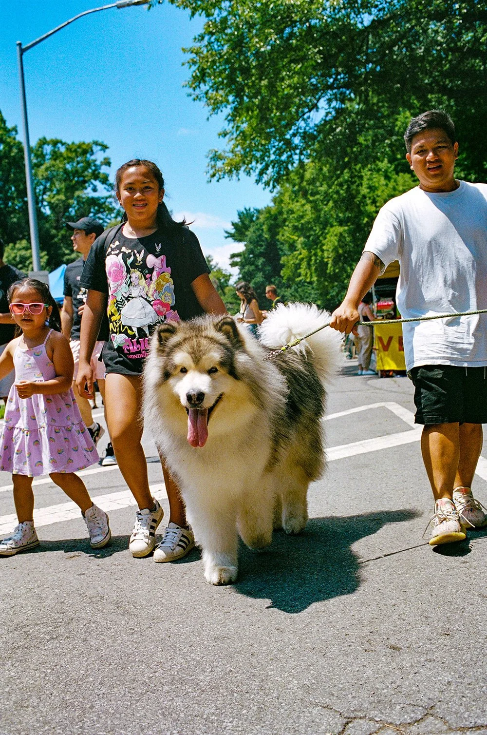 Dog Days NYC — Monster Children