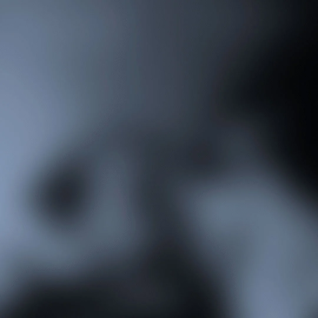 Troon Concert Hall — Belle & Sebastian