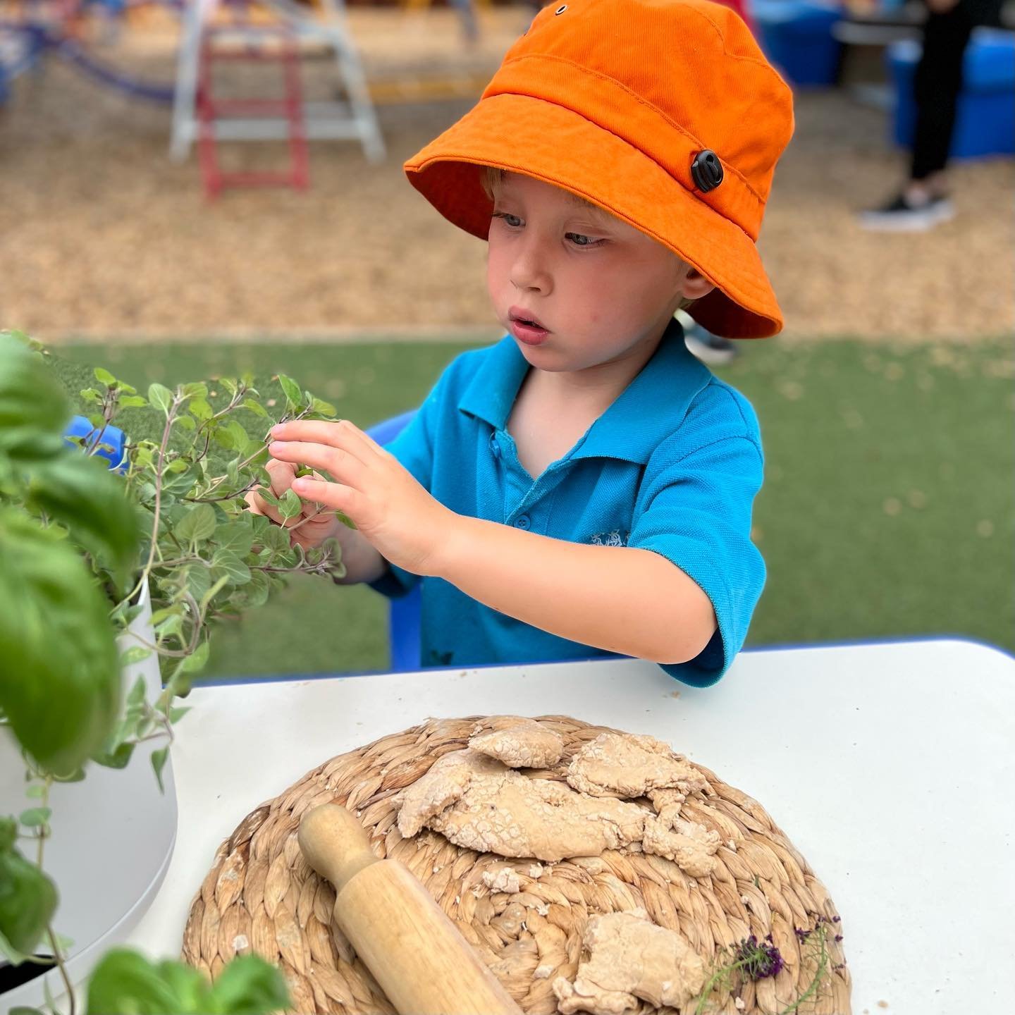 Our Curriculum — O'Briens Montessori Centre