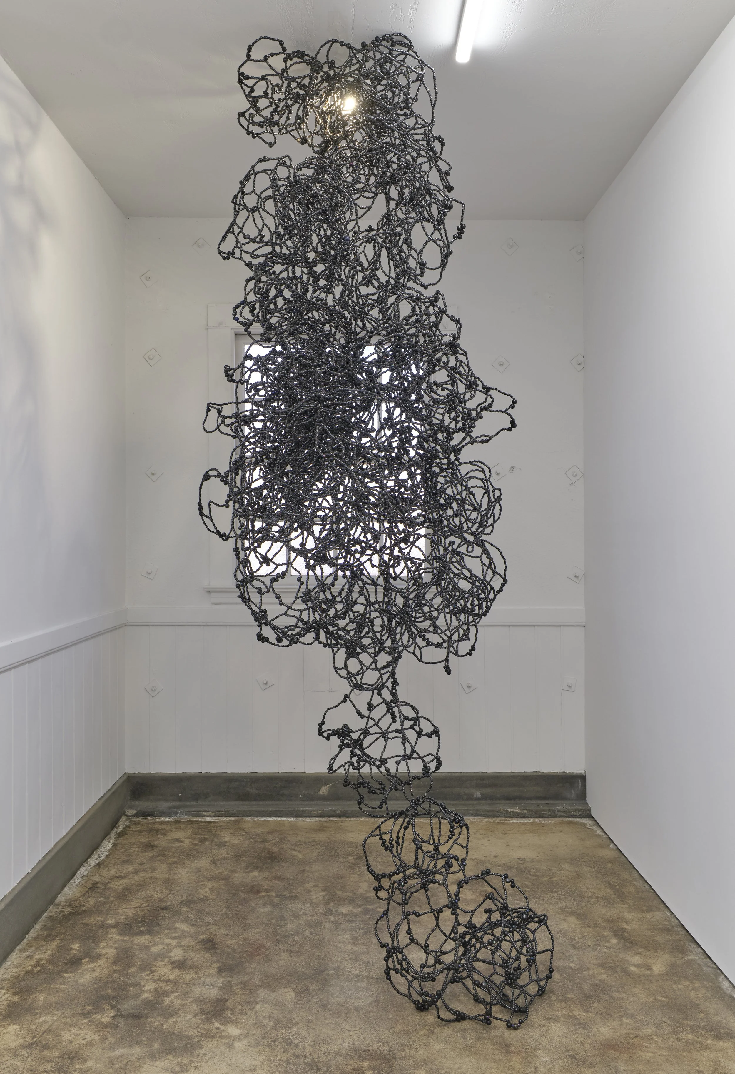 Sienna Shields: Between Dispersal & Recovery — Rusha & Co.