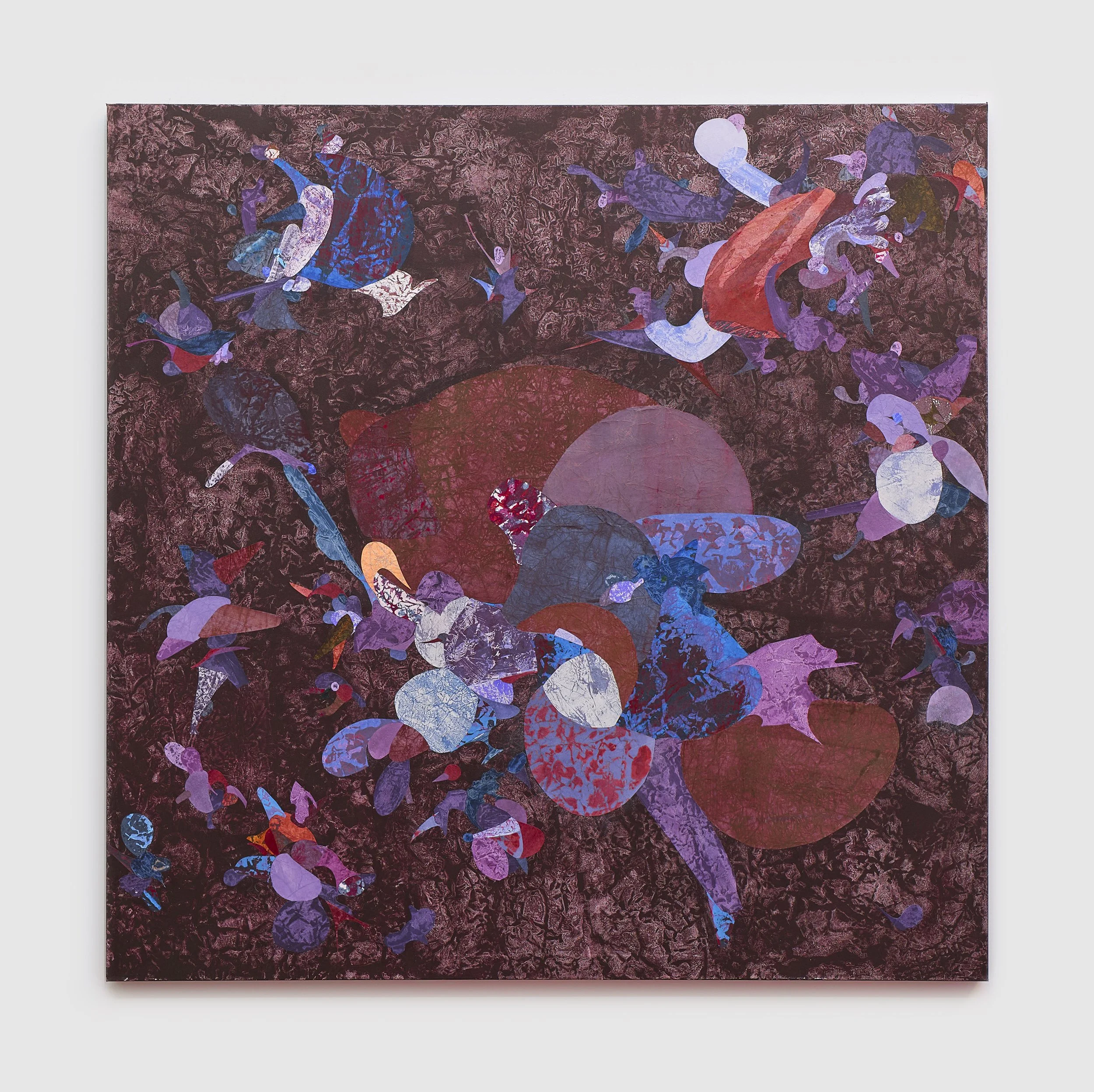 Sienna Shields: Between Dispersal & Recovery — Rusha & Co.