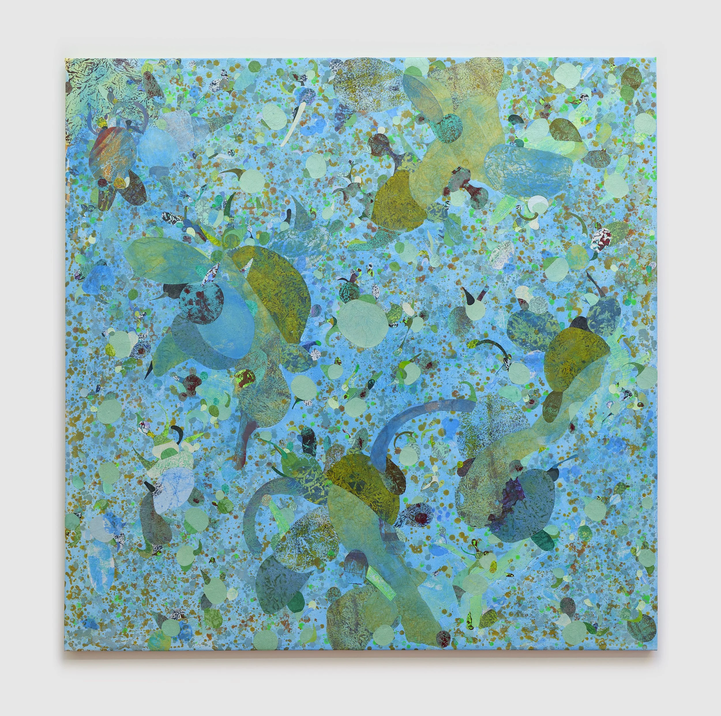 Sienna Shields: Between Dispersal & Recovery — Rusha & Co.