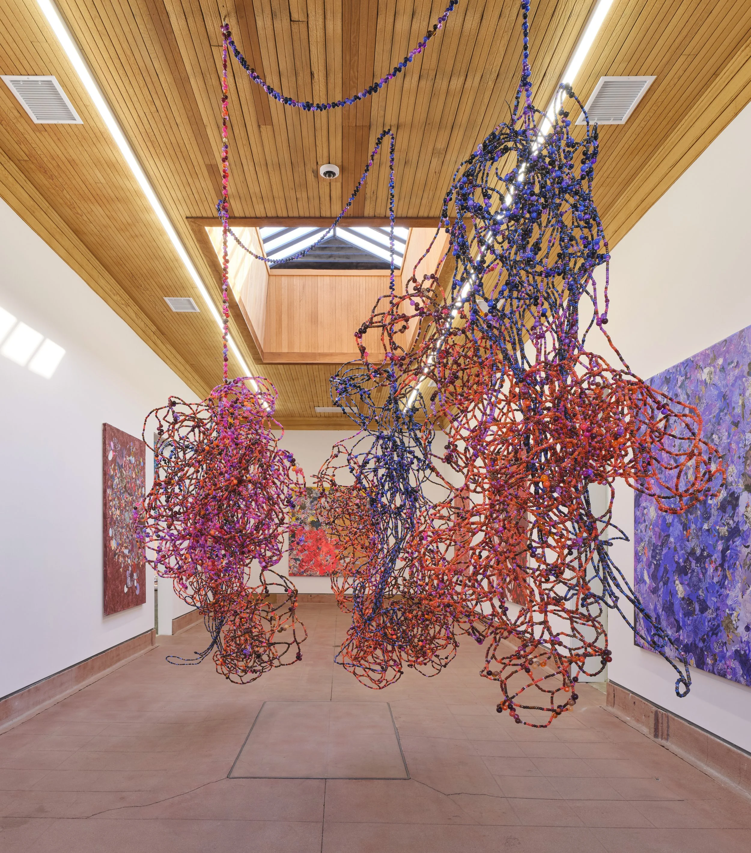 Sienna Shields: Between Dispersal & Recovery — Rusha & Co.