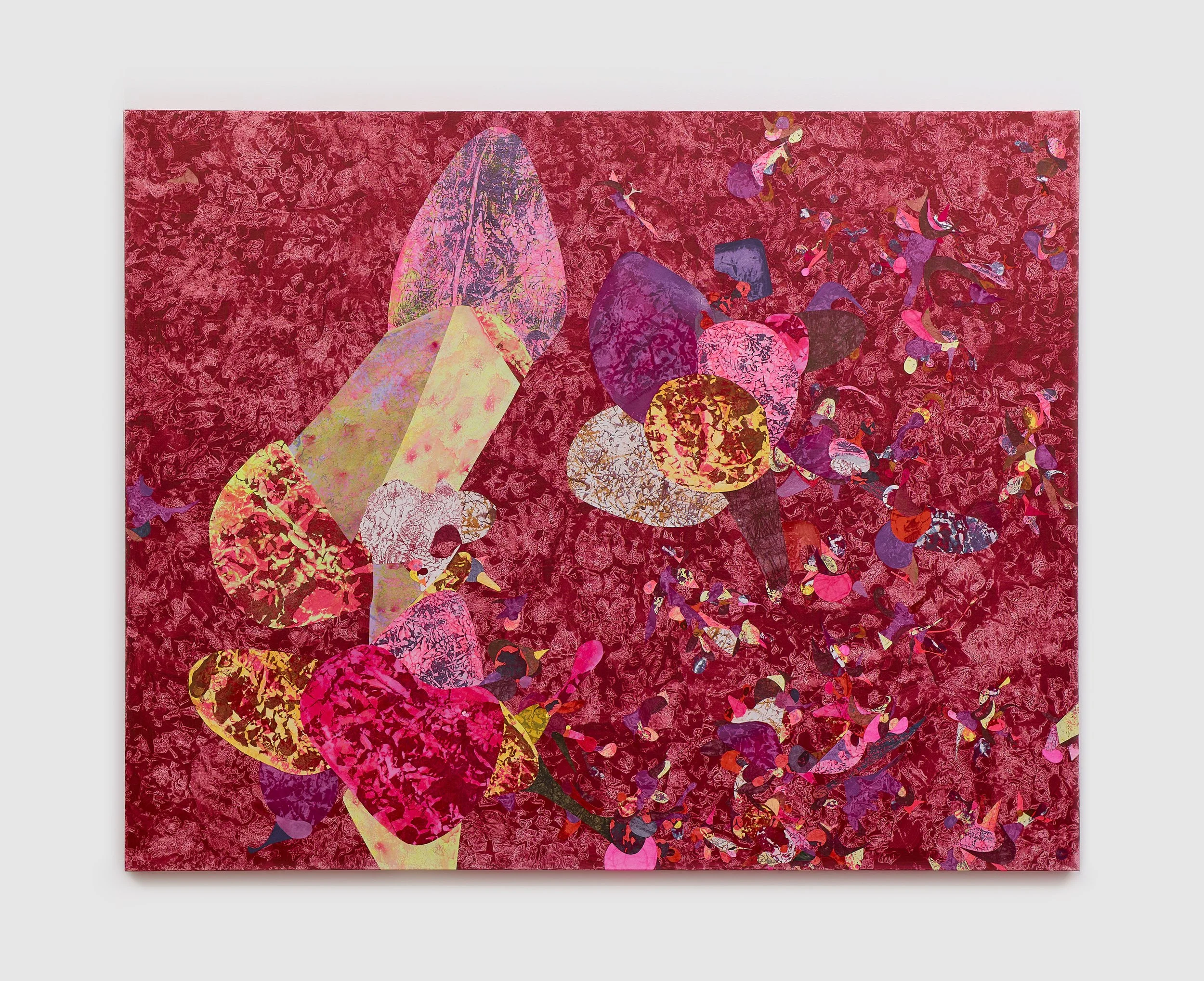 Sienna Shields: Between Dispersal & Recovery — Rusha & Co.