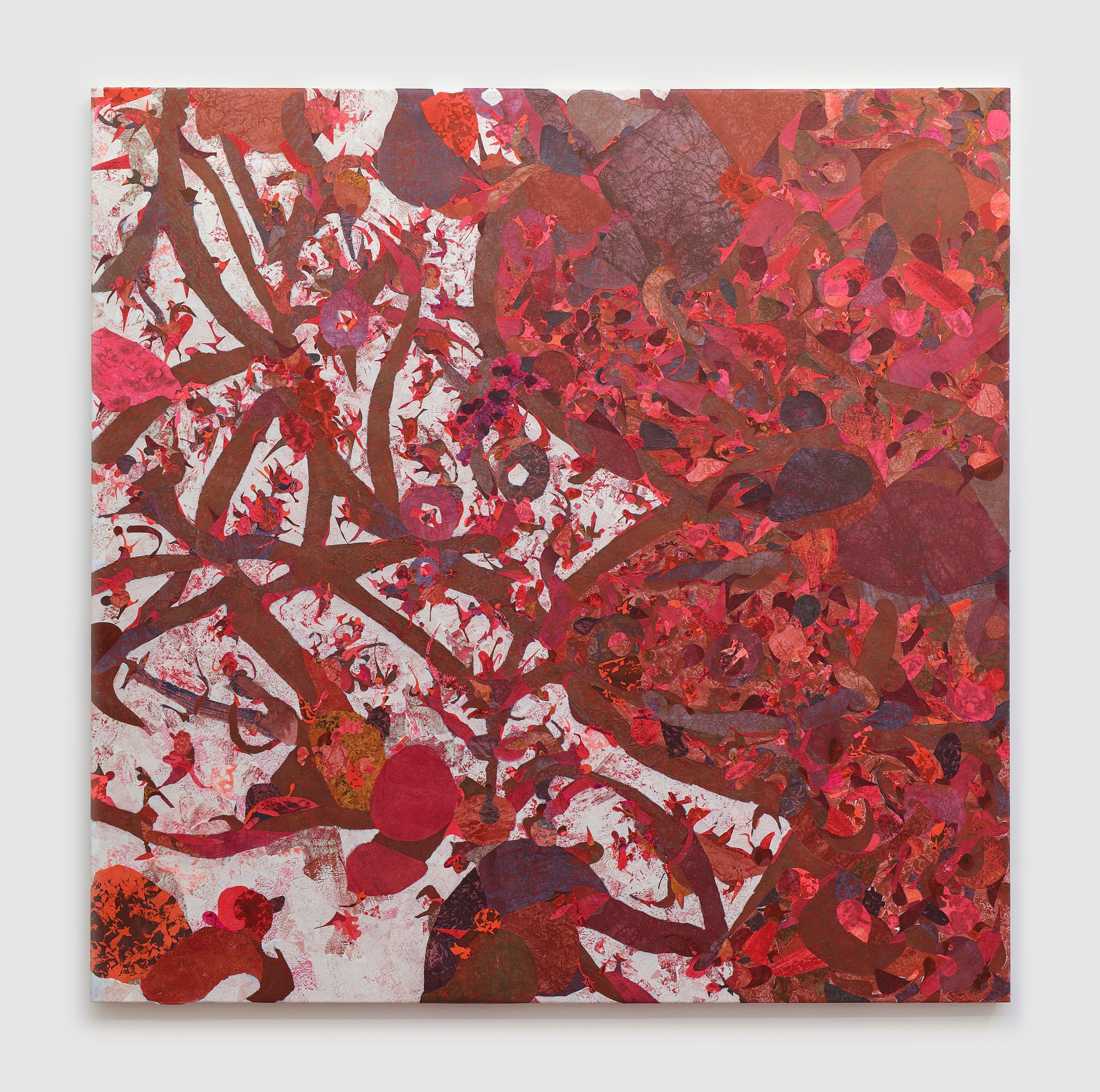 Sienna Shields: Between Dispersal & Recovery — Rusha & Co.