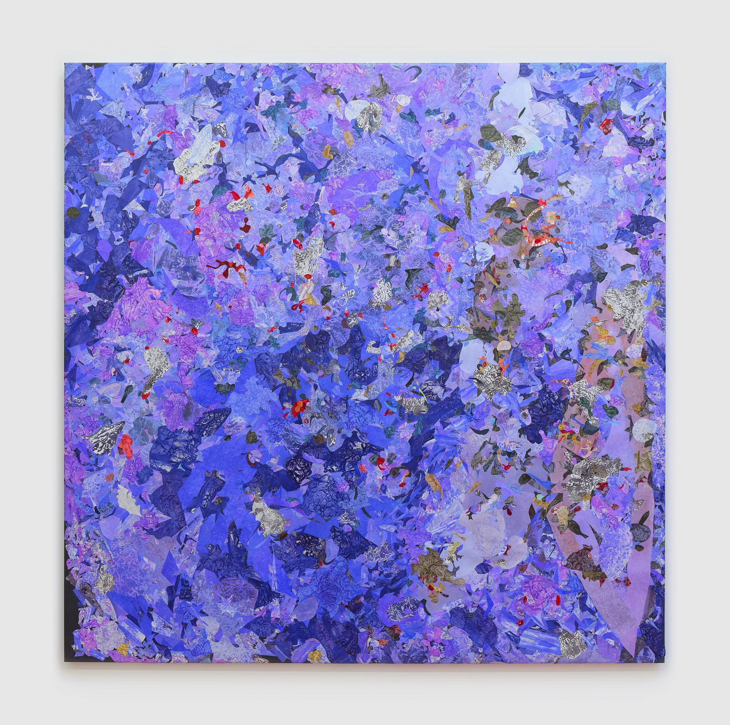 Sienna Shields: Between Dispersal & Recovery — Rusha & Co.