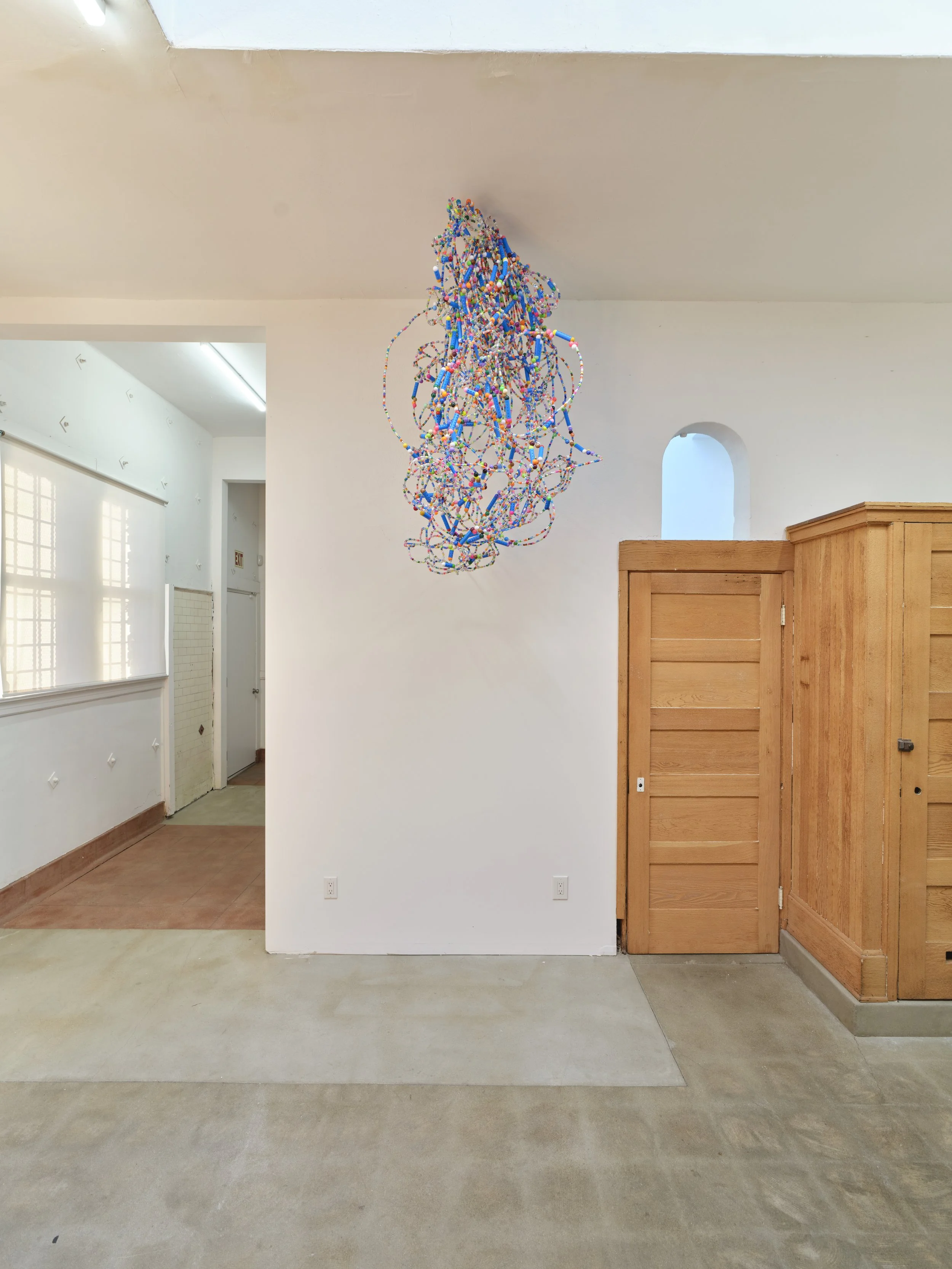 Sienna Shields: Between Dispersal & Recovery — Rusha & Co.