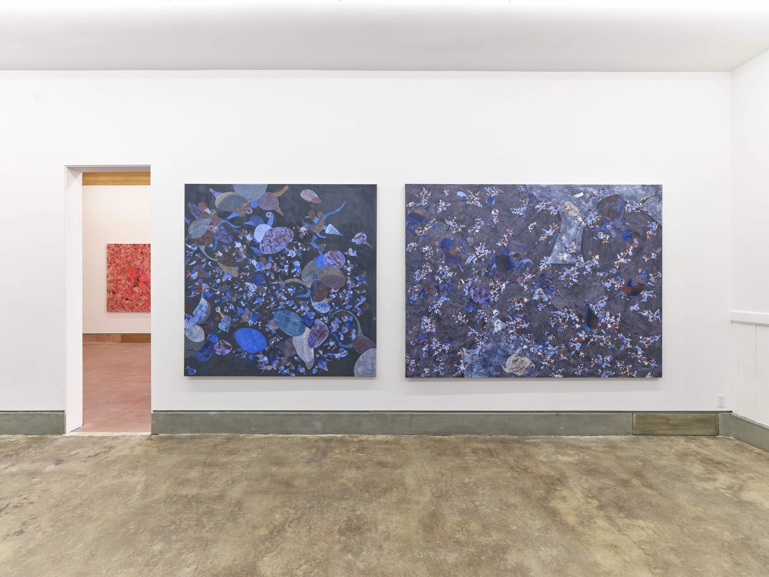 Sienna Shields: Between Dispersal & Recovery — Rusha & Co.