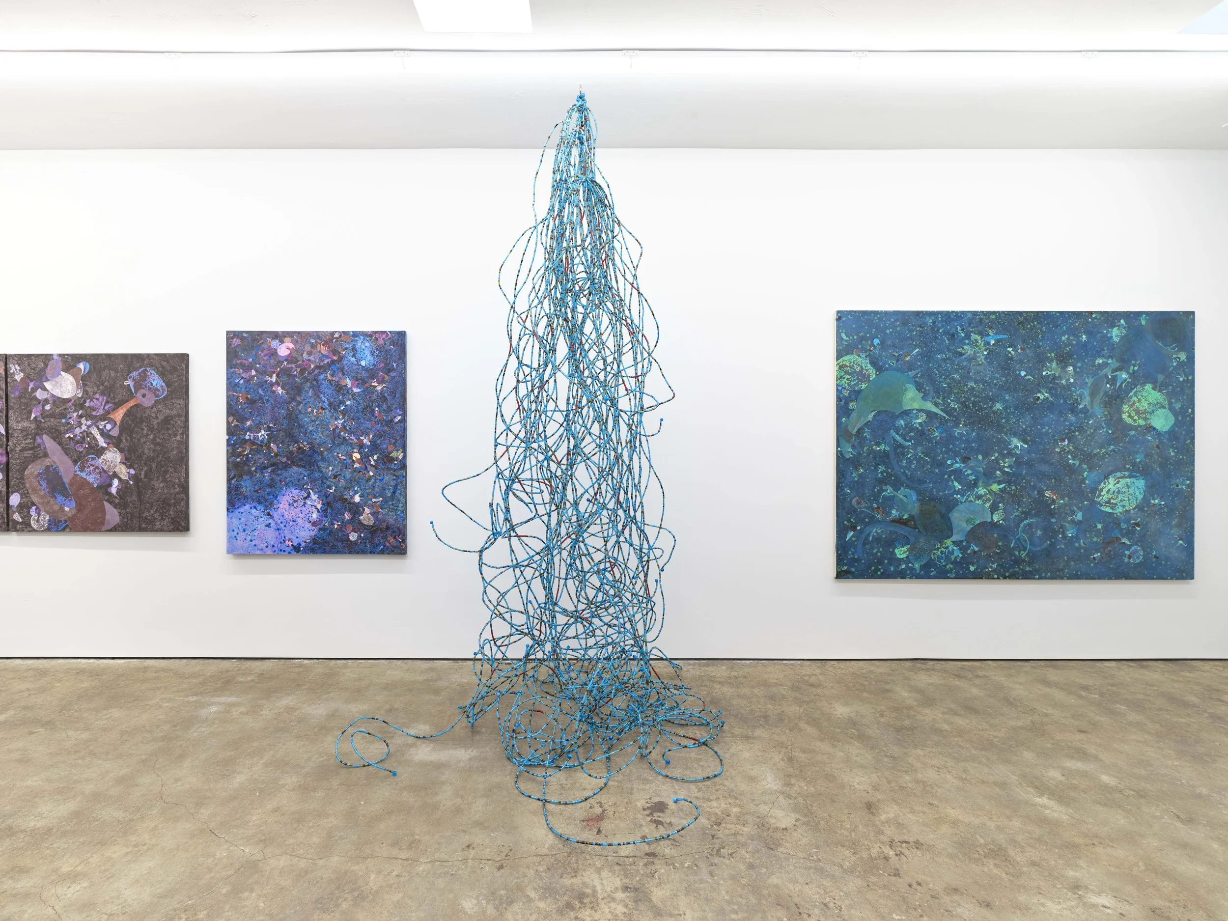 Sienna Shields: Between Dispersal & Recovery — Rusha & Co.