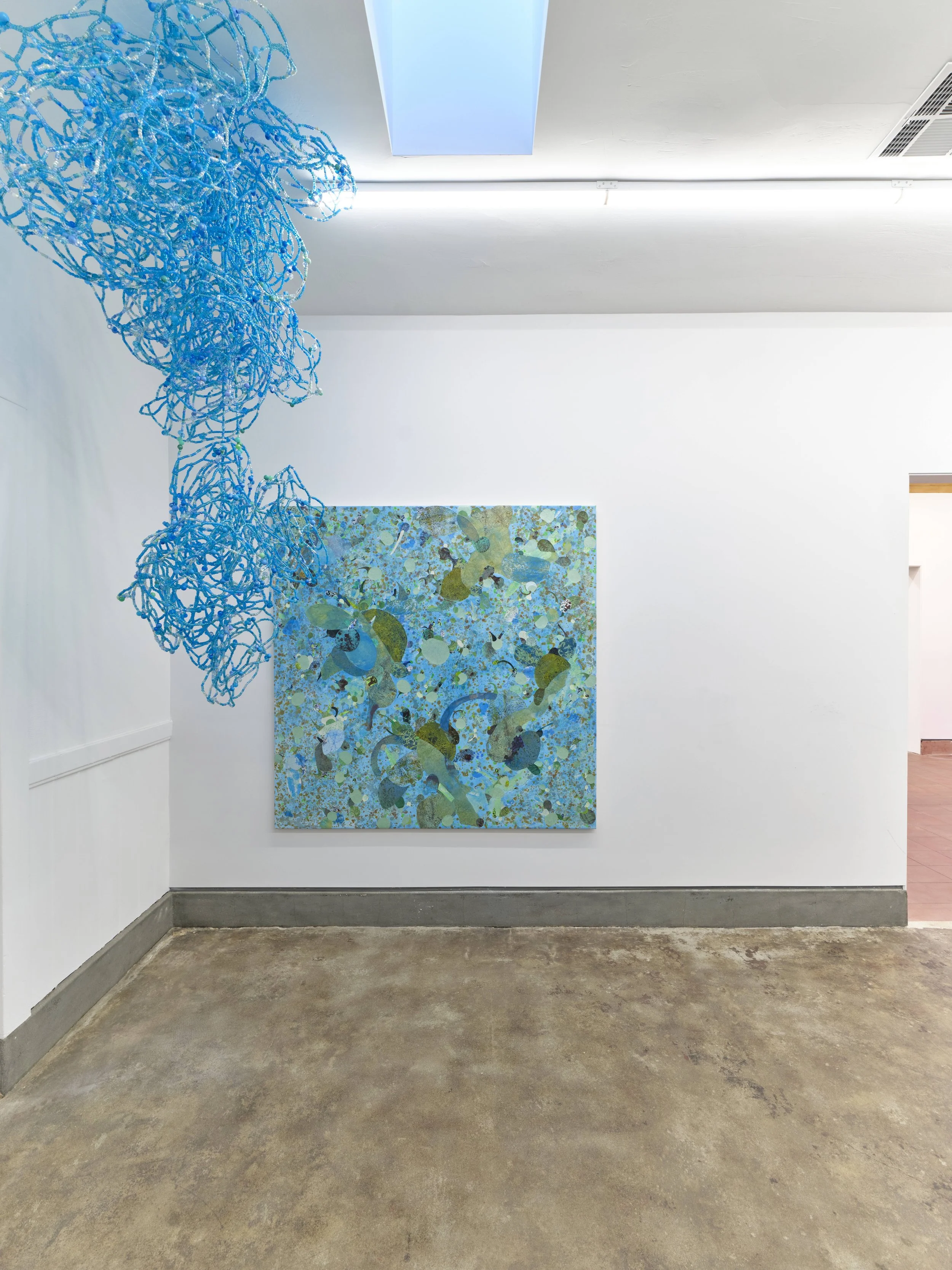 Sienna Shields: Between Dispersal & Recovery — Rusha & Co.