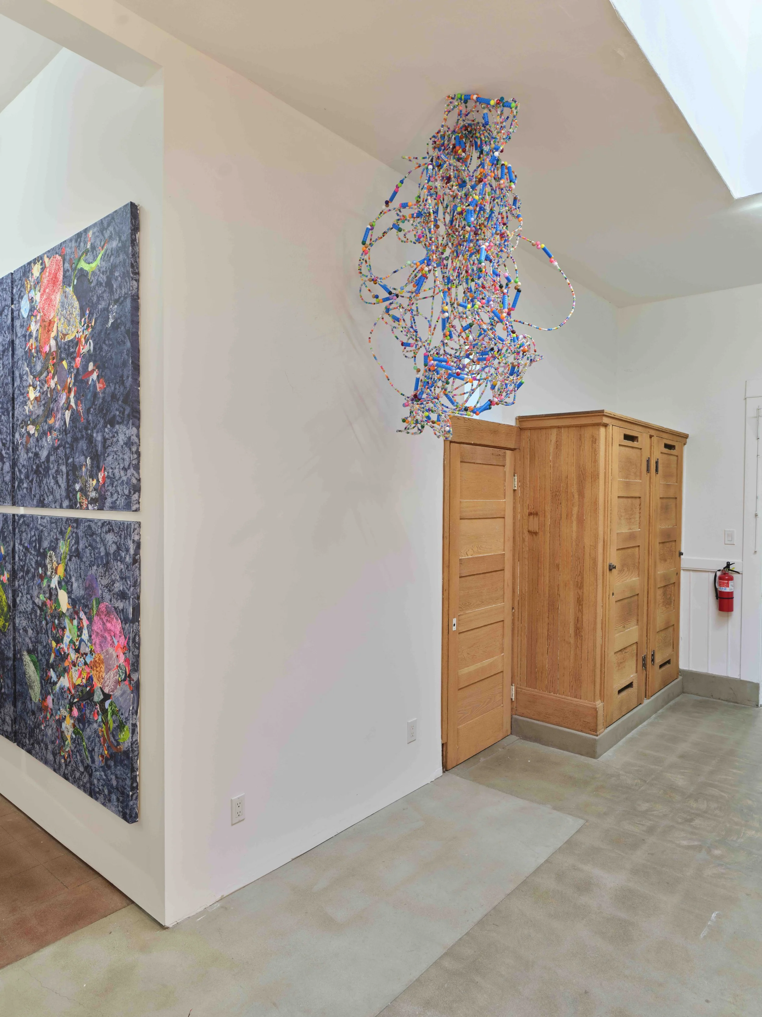 Sienna Shields: Between Dispersal & Recovery — Rusha & Co.