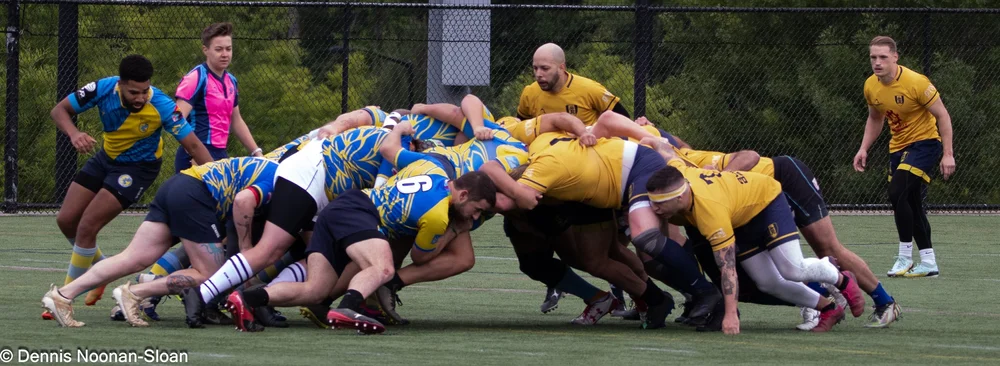 Queen City Rugby