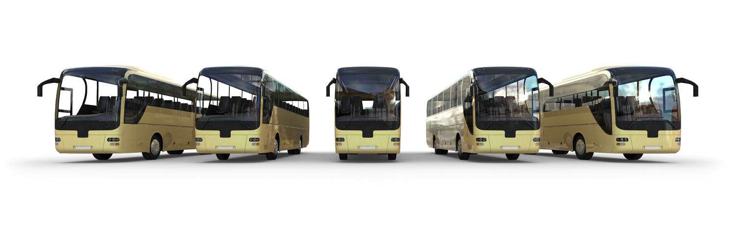 M Ride | San Francisco Bay Area Bus Charters and Party Buses