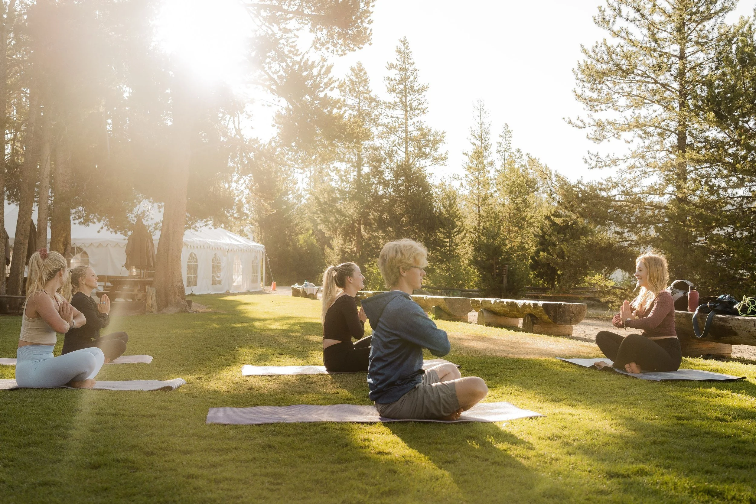 Taryn Smith Movement