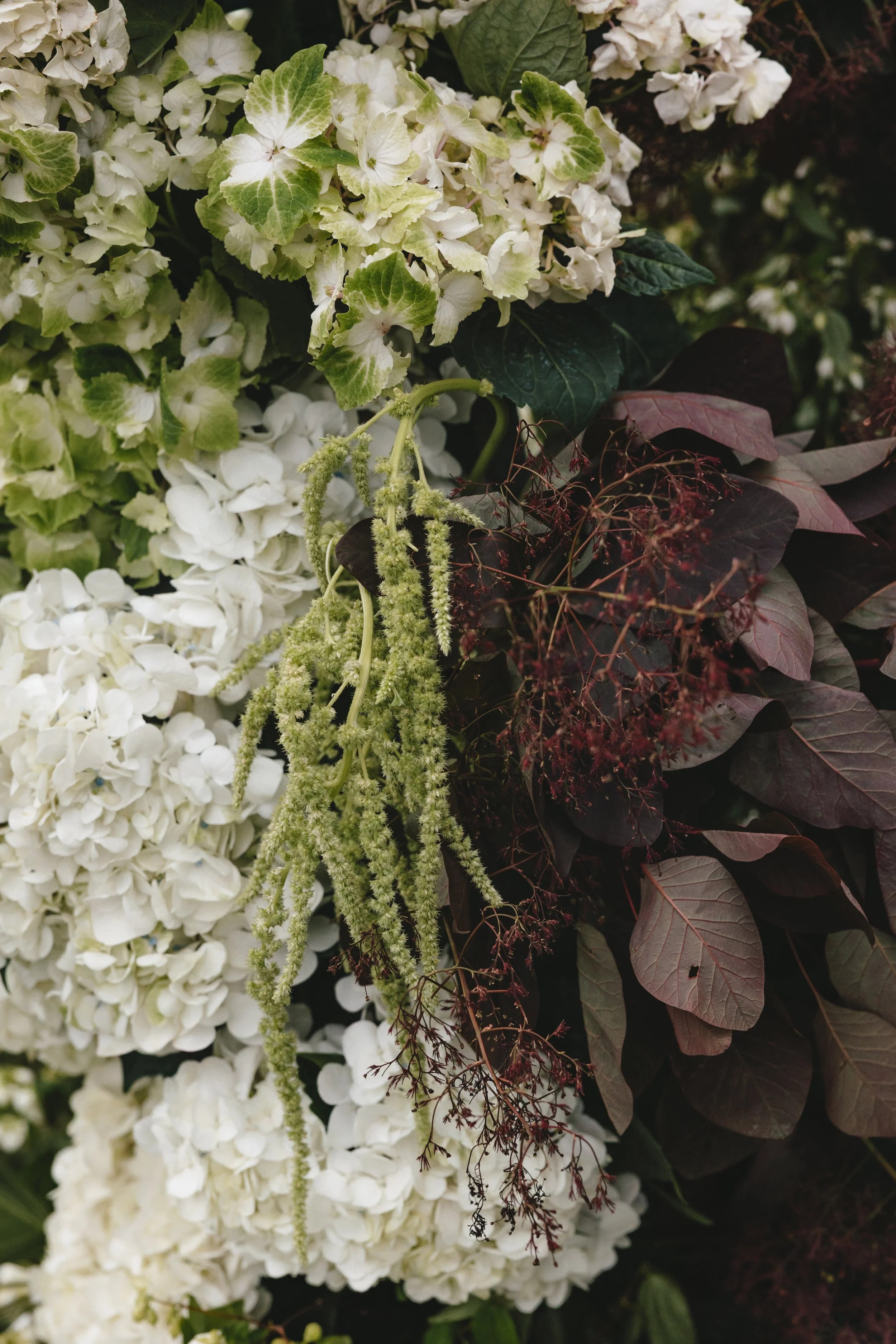 WOW Flowers