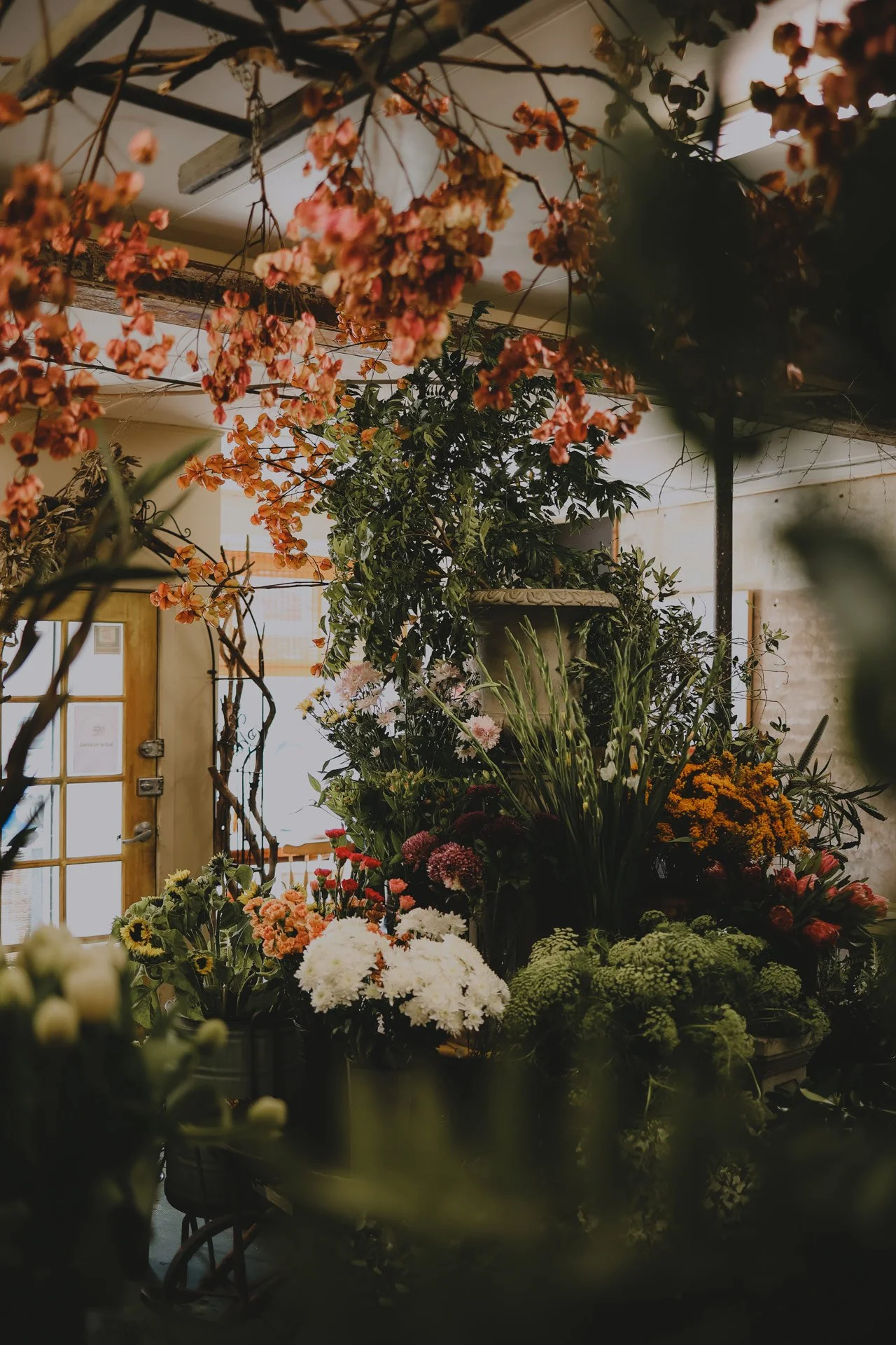 WOW Flowers