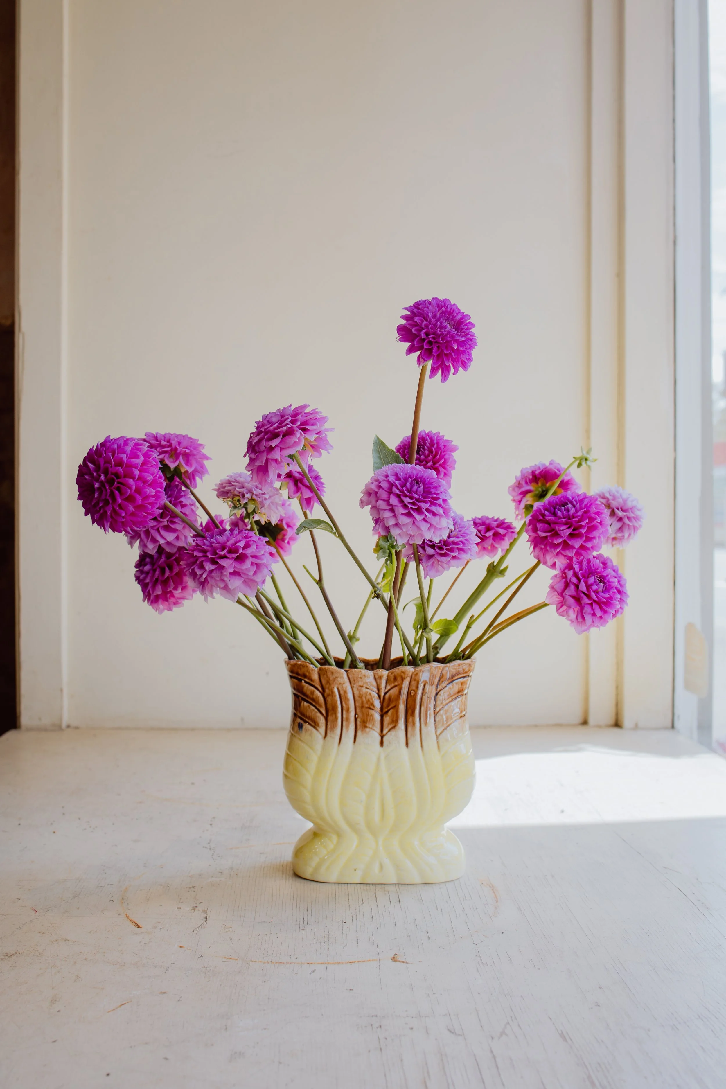 WOW Flowers