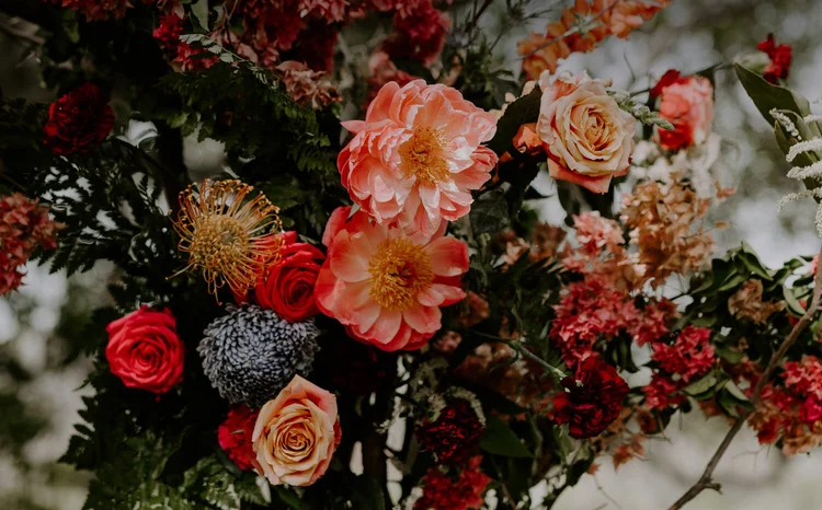 WOW Flowers
