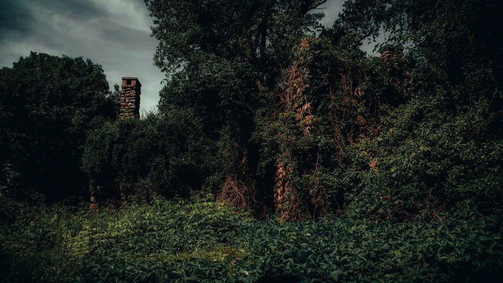 Samhain: History, Deities, Rituals, Correspondences, and More — Ohm Terra