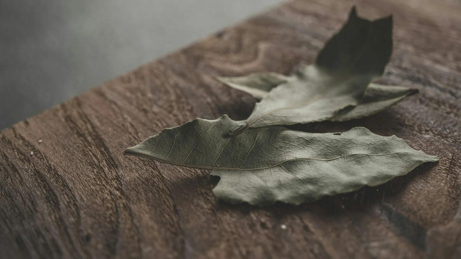 Seasonal Herbs and Their Magical Properties for Beginner Witches — Ohm Terra