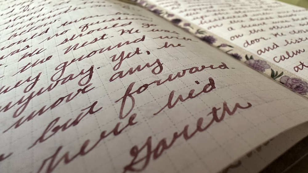 Handwritten Stories: NaNoWriMo Redux — Dime Novel Raven