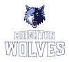 Competitions — McKinnon Basketball Association