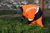 Pourewa Māra Kai comprises a māra kai, (food garden), a nursery for ...