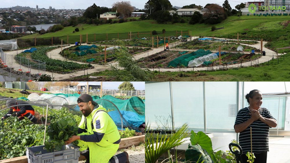 Pourewa Māra Kai — Eastern Bays Sustainable Garden Trail