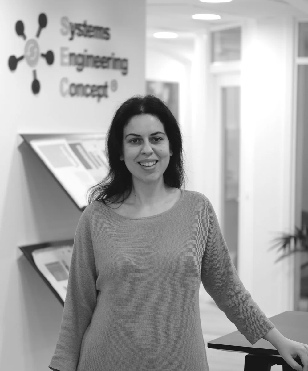 Who we are - Systems Engineering A/S — Systems Engineering A/S