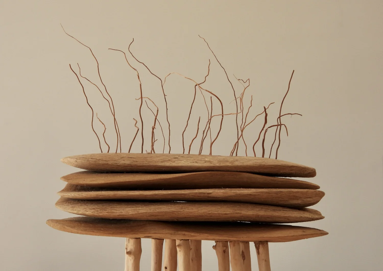 Hiroshi Kitamura — Numa