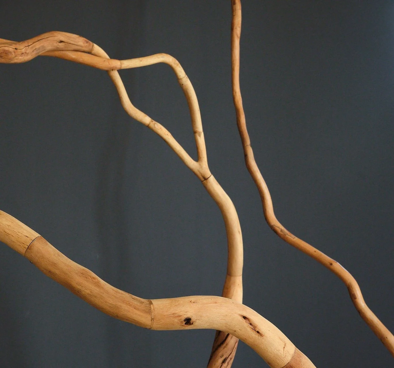 Hiroshi Kitamura — Numa