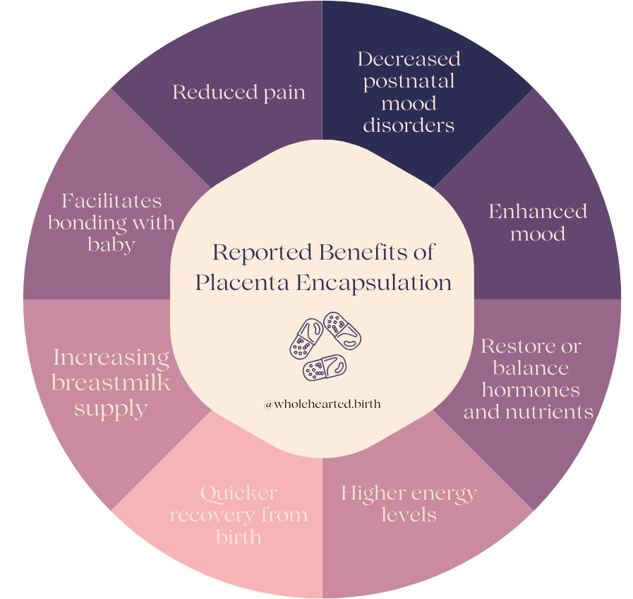 Benefits of Placenta Encapsulation — Wholehearted Birth Benefits of Placenta Encapsulation — Wholehearted Birth