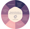 Benefits of Placenta Encapsulation — Wholehearted Birth