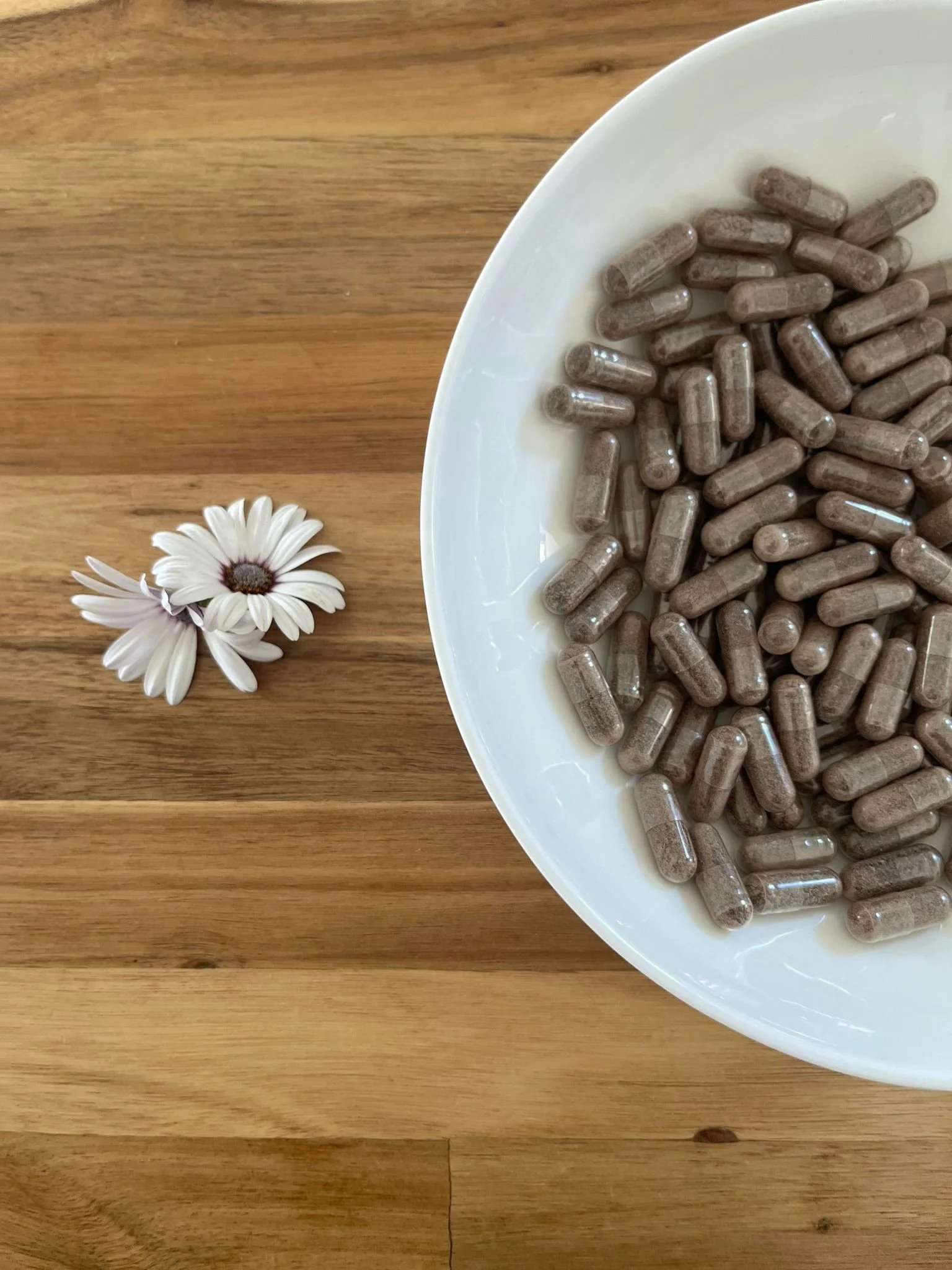 Placenta Encapsulation - Gold Coast Doula — Wholehearted Birth