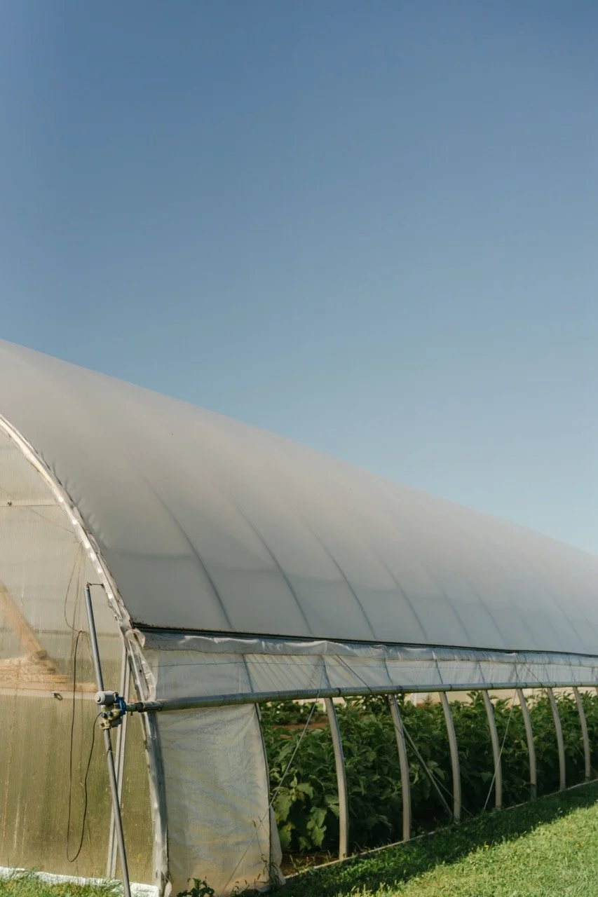 Consumer Resources — MI CSA Network