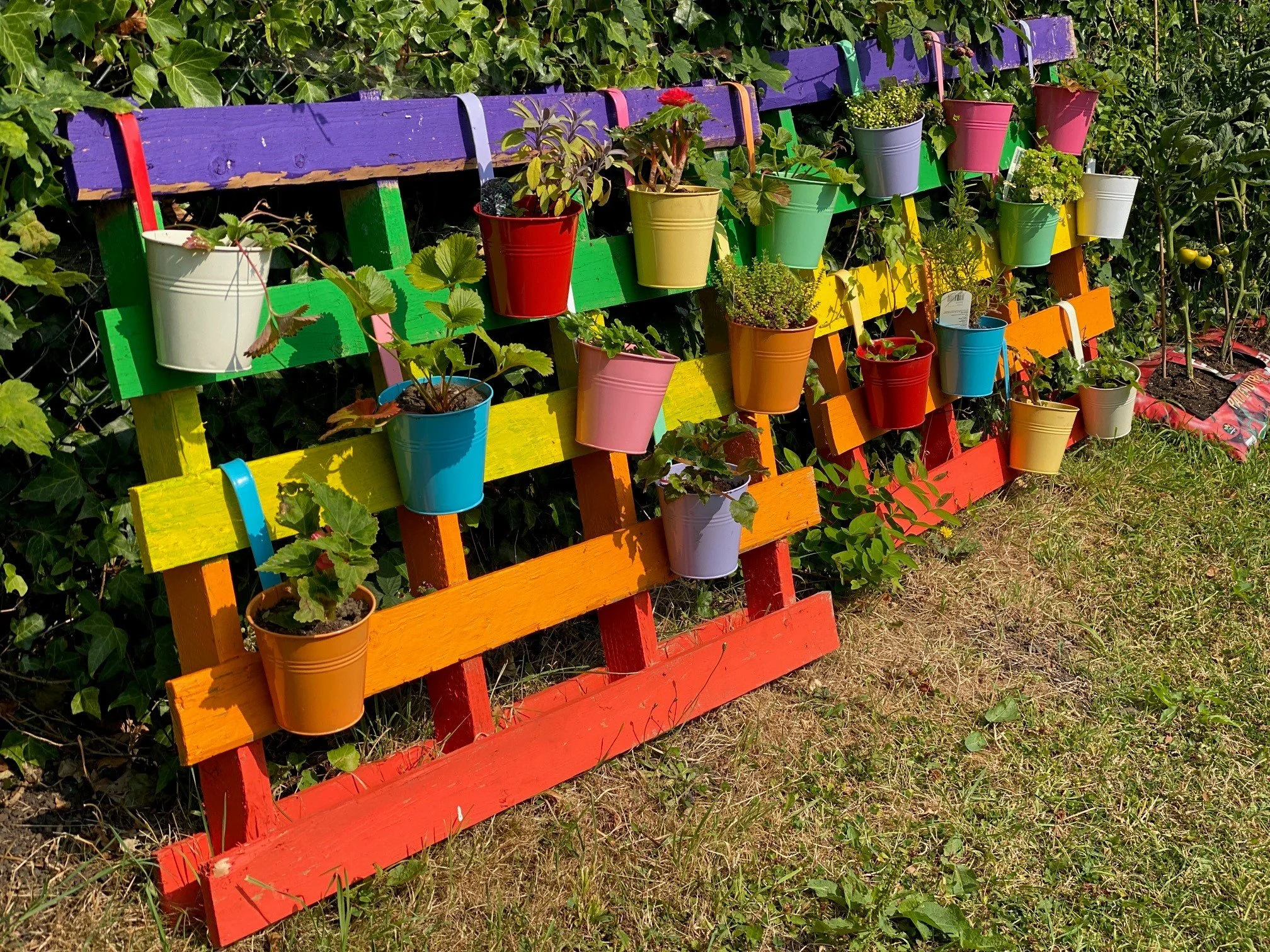 St John's Causeway Community Garden granted Coop funding — URC Mersey