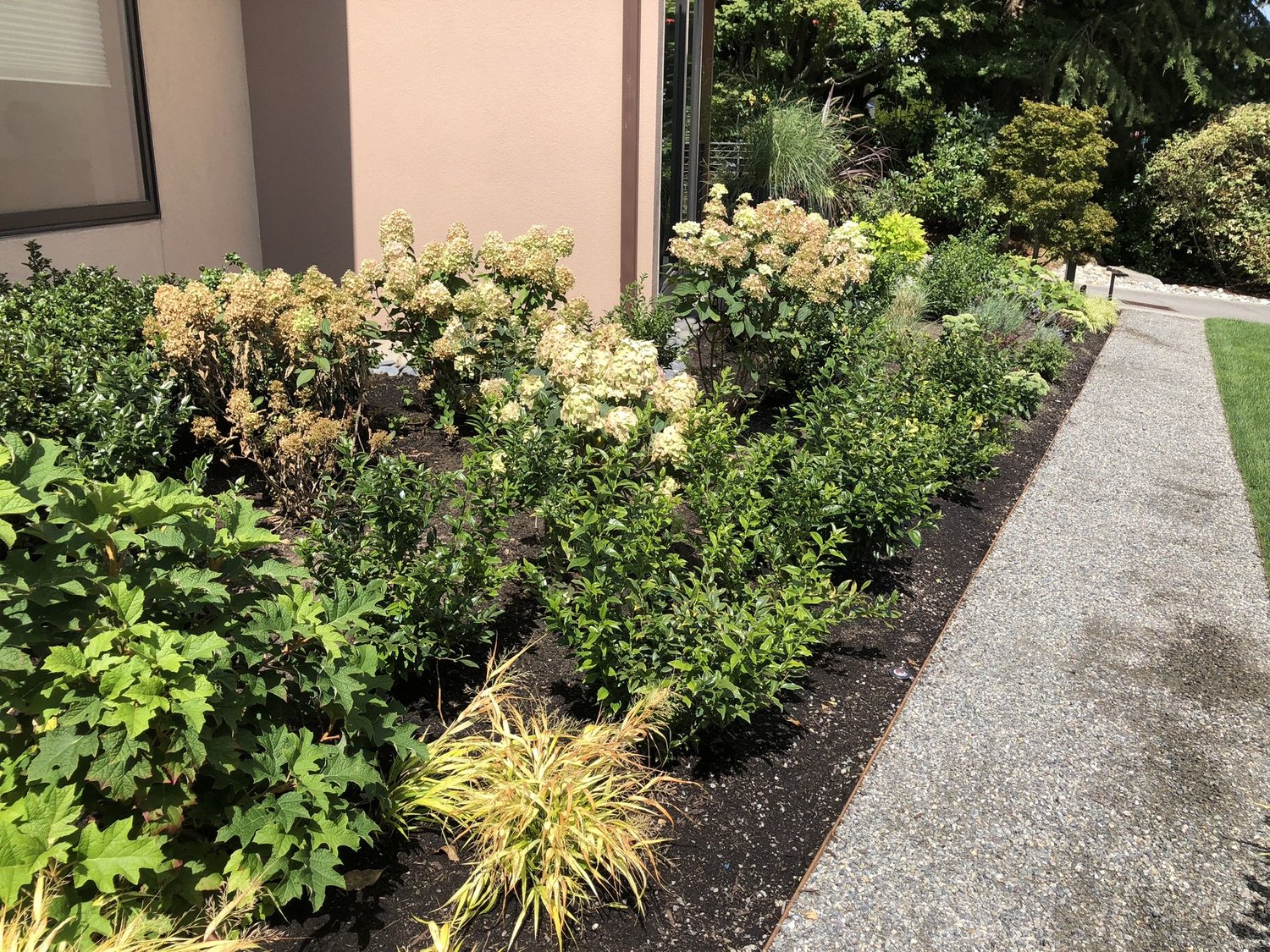 Private Collections | Seattle Landscape Architecture Firm — Skapa, PLLC.