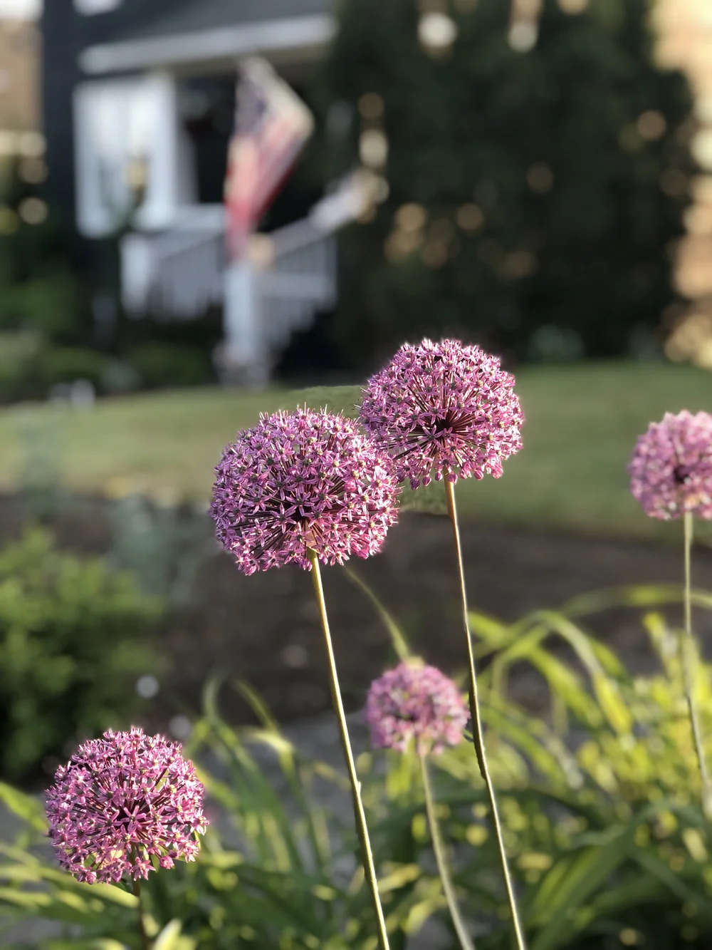 Private Collections | Seattle Landscape Architecture Firm — Skapa, PLLC.