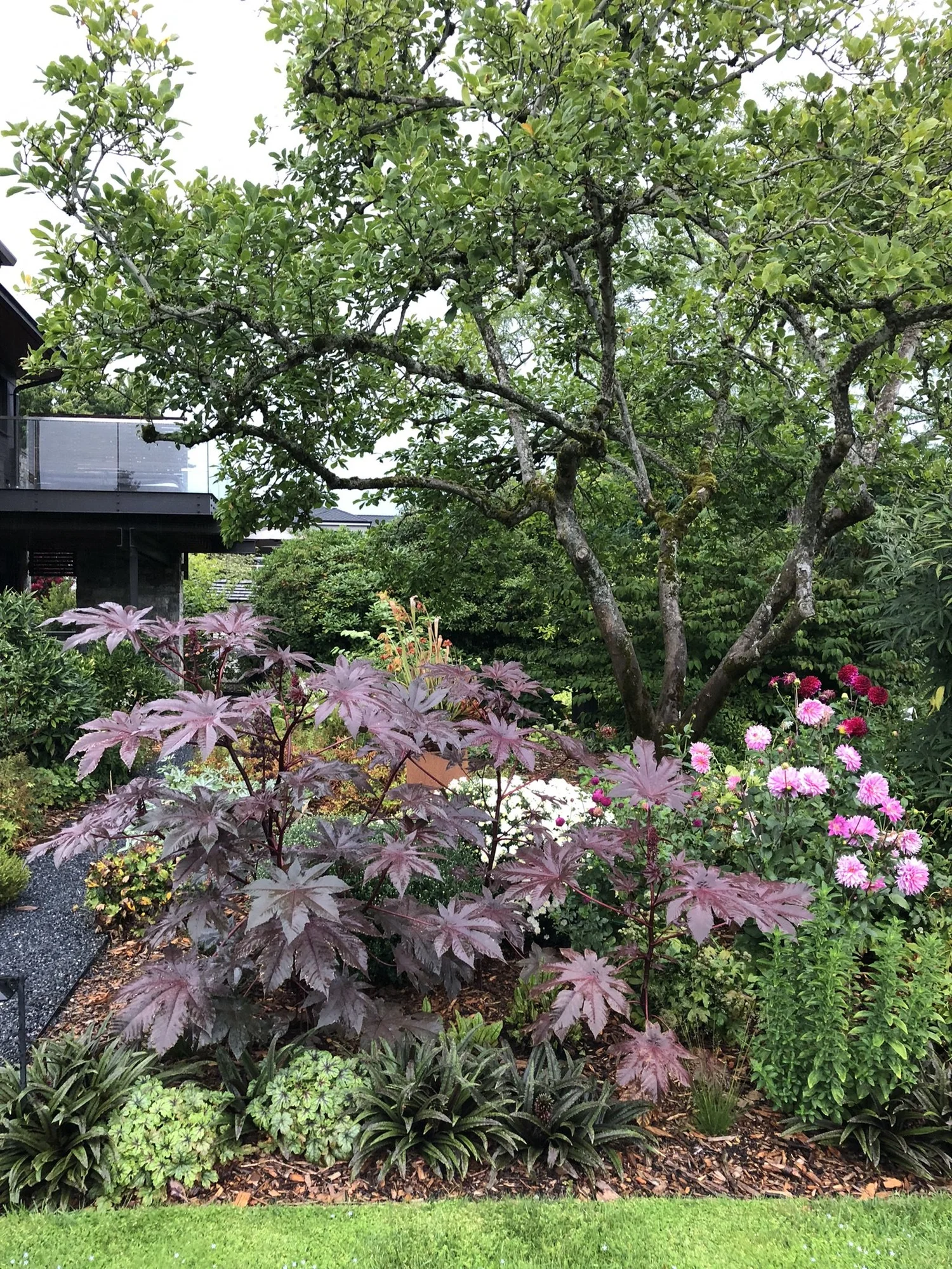 Private Collections | Seattle Landscape Architecture Firm — Skapa, PLLC.