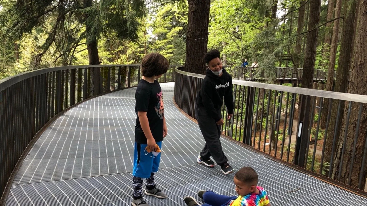 Public Collections | Seattle Landscape Architecture Firm — Skapa, PLLC.